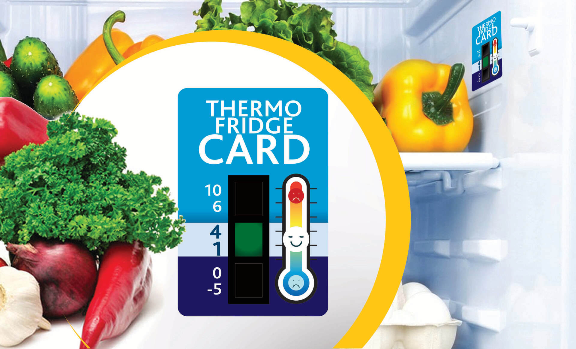 Promotional item with customizable refrigerator thermometer